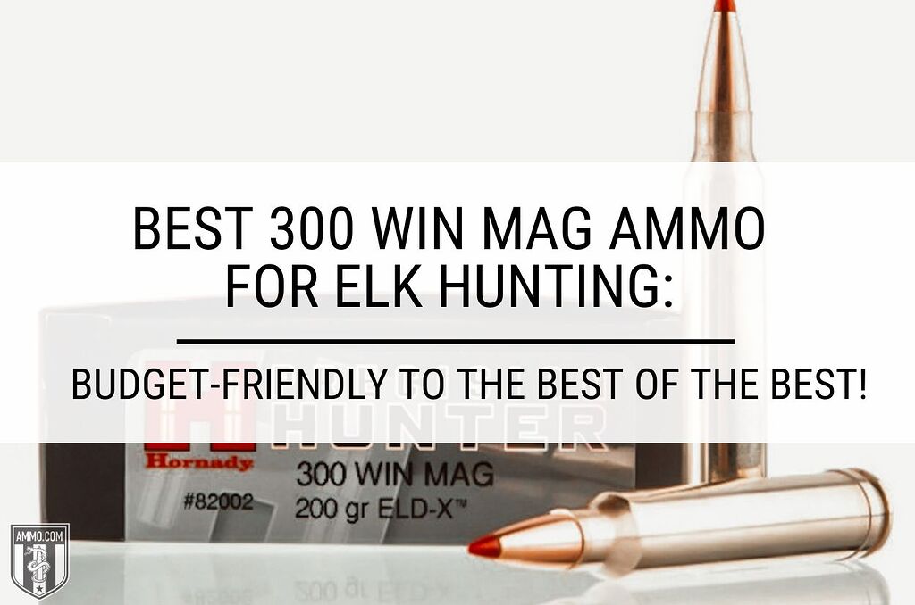 Best 300 Win Mag Ammo For Elk Hunting: Budget-Friendly To The Best Of ...