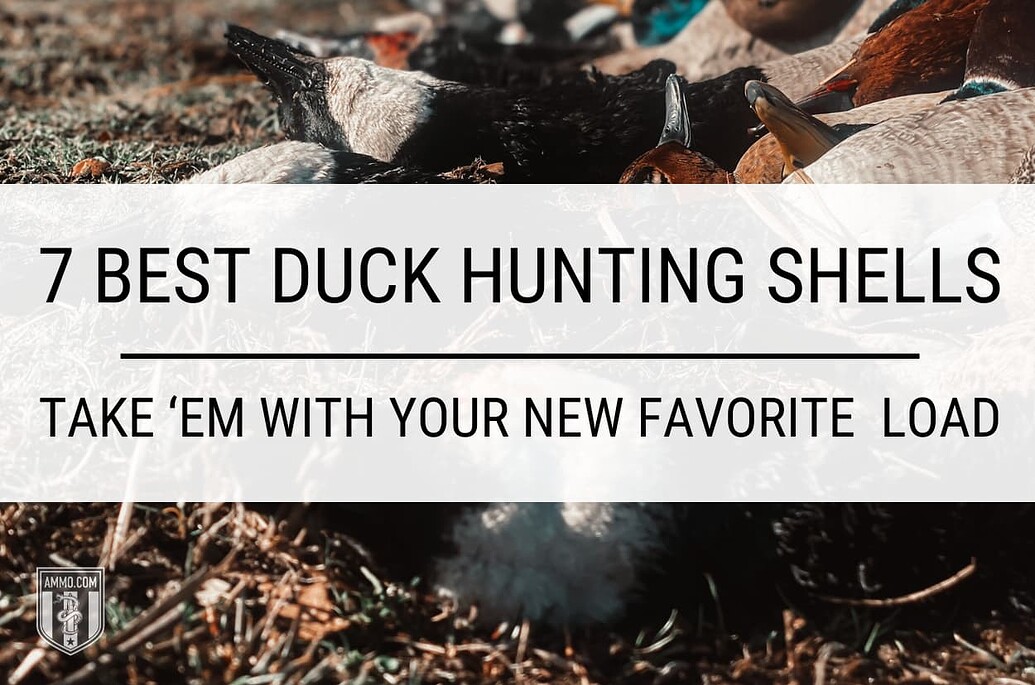 7 Best Duck Hunting Shells: Take 'em With Your New Favorite 12 Gauge ...