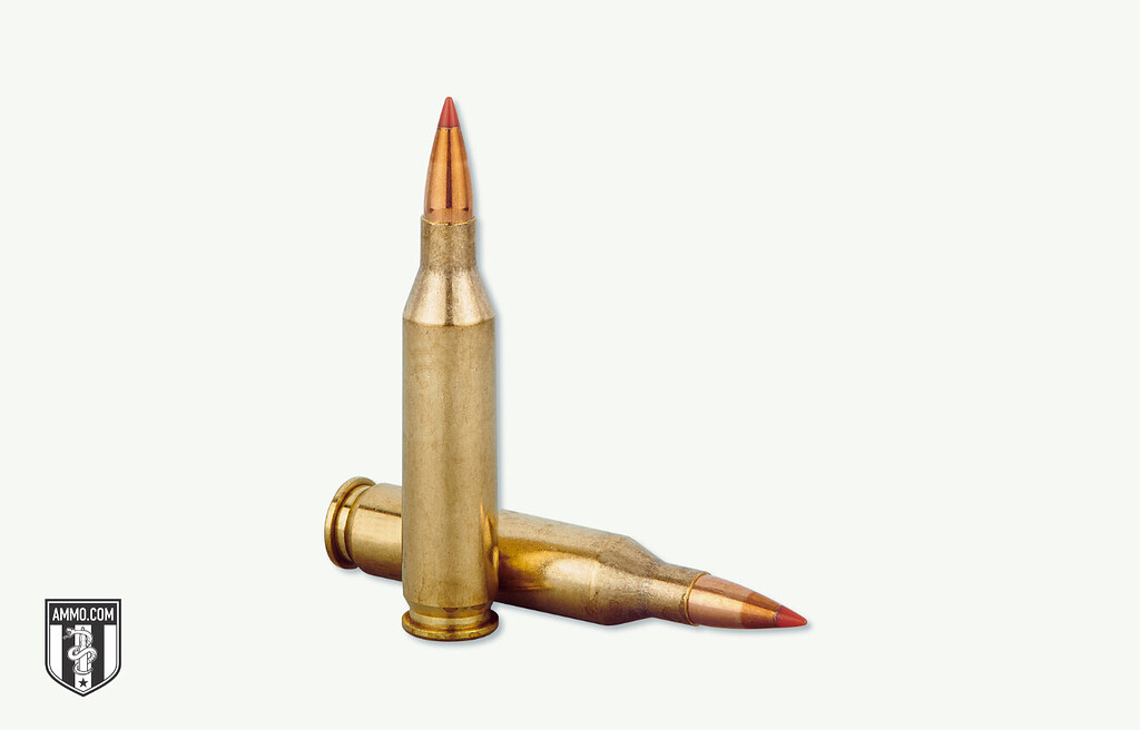 243 Recoil: How Hard Does the 243 Winchester Kick? - Public Shooting ...